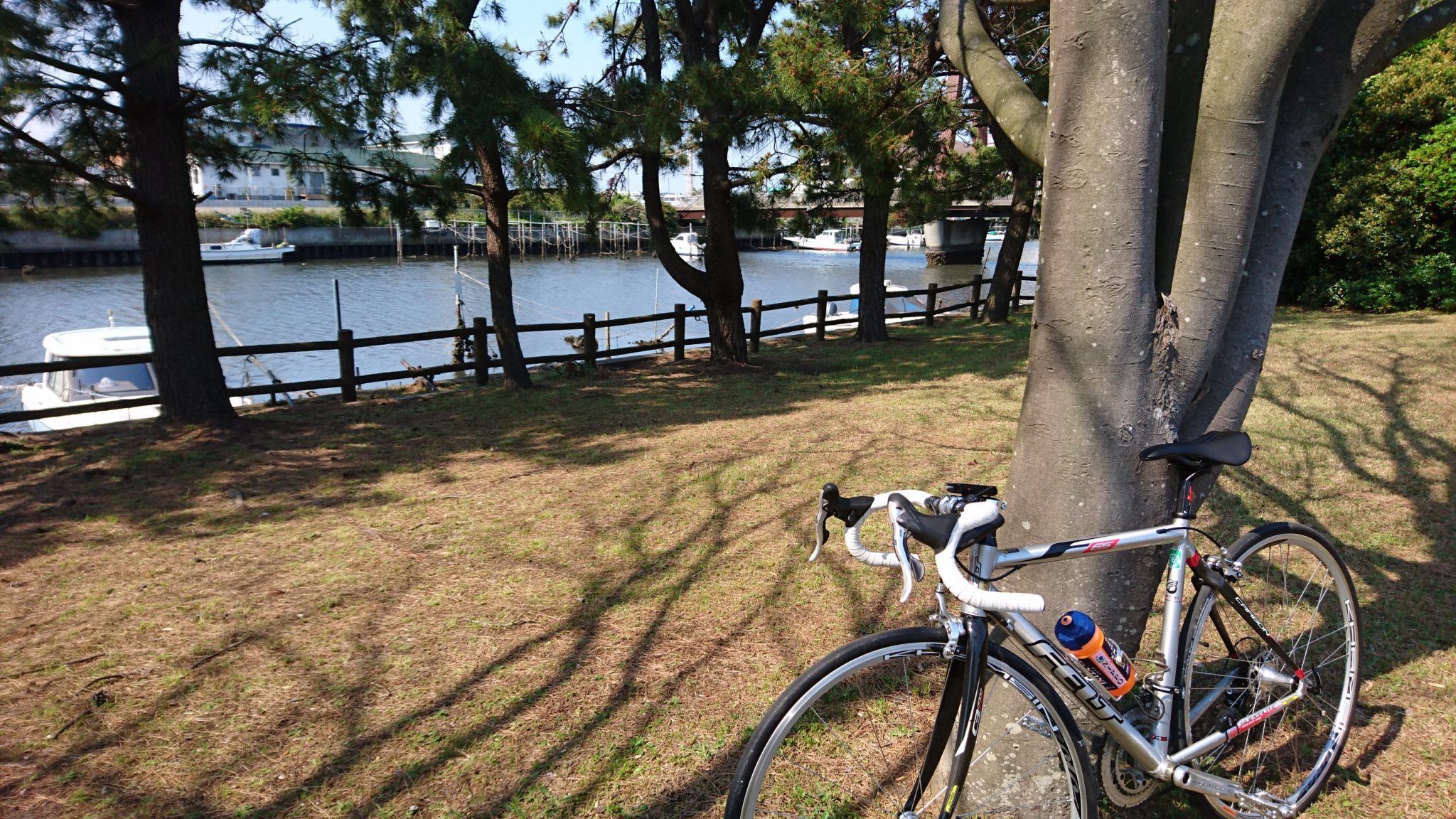 自粛中のお散歩サイクリングコース003（富津市下洲・ふれあい公園方面） – CYCLE SPORTS KYOTO 店長BLOG